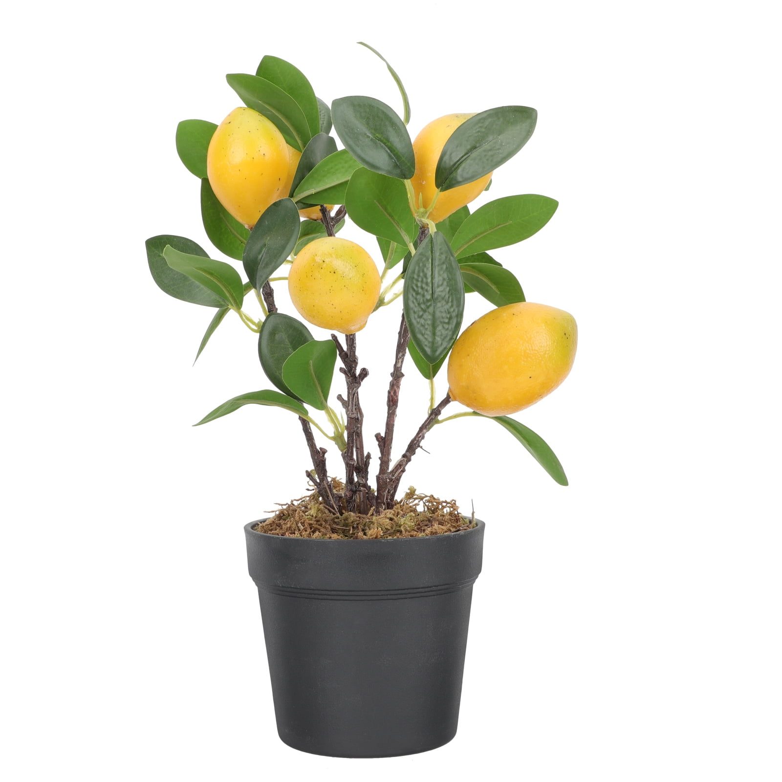 HEMOTON Realistic Artificial Lemon Bonsai Plant with , Decorative Fake ...