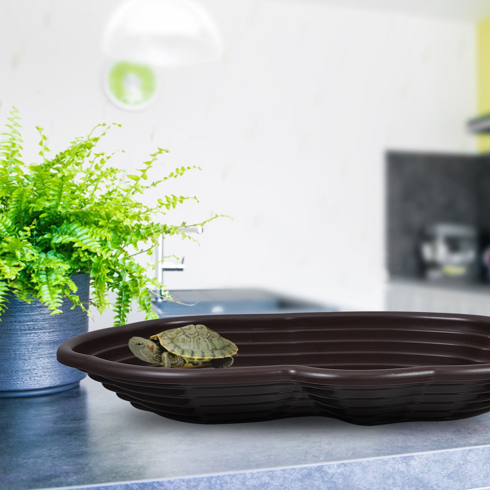 HEMOTON Reptile Bathing Dish Pool With Ramp Large Turtle Water Bowl ...