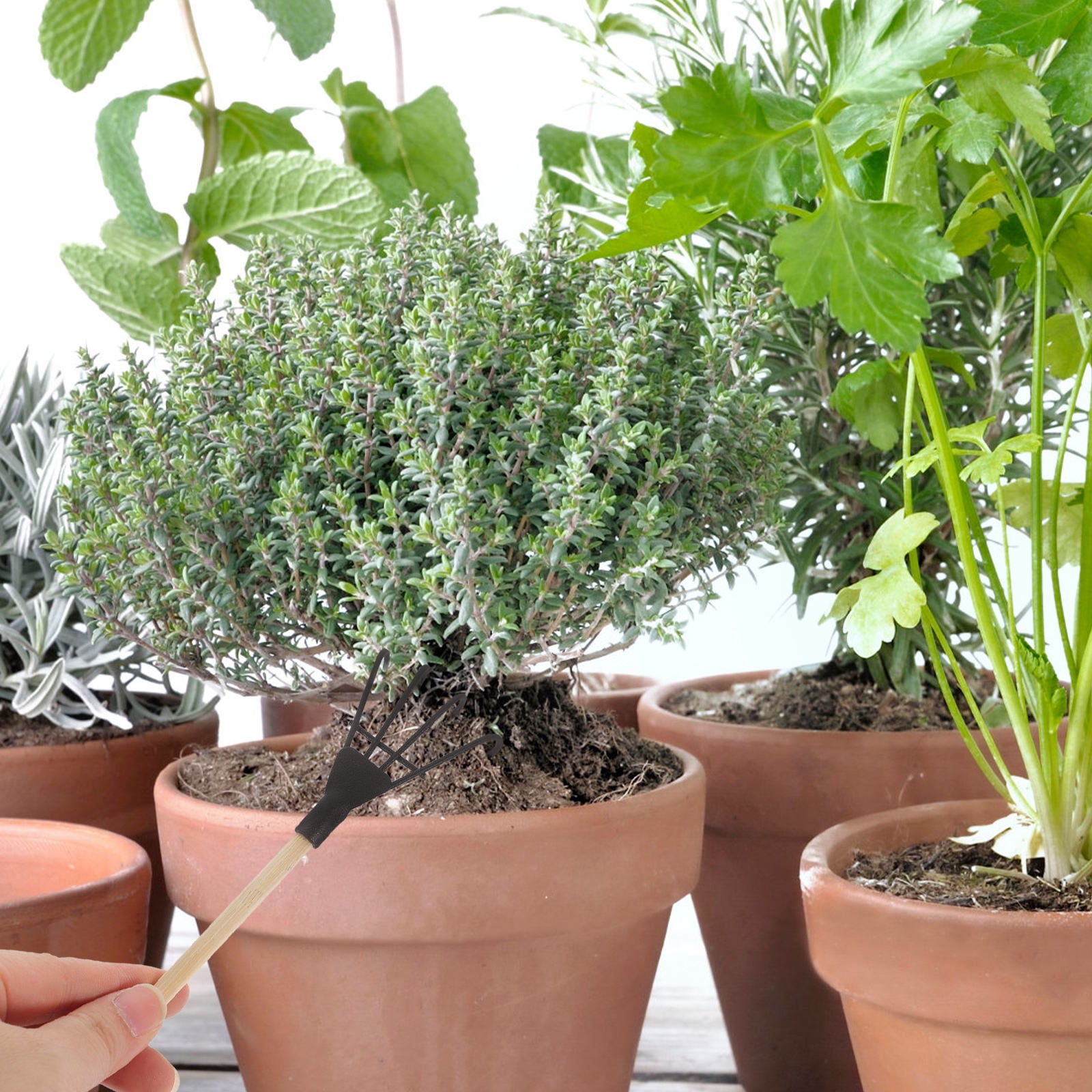 HEMOTON Small Rake Tool Mini Metal Rake With Wooden Handle Garden ...