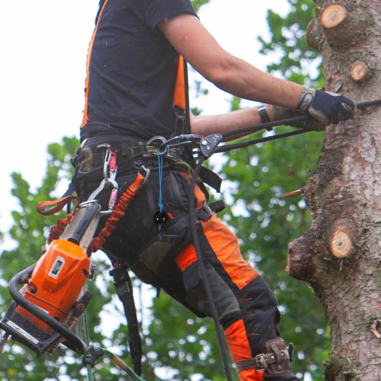 HEMOTON Tree Climbing Ball with Rope Arborist Retriever Friction Saver ...