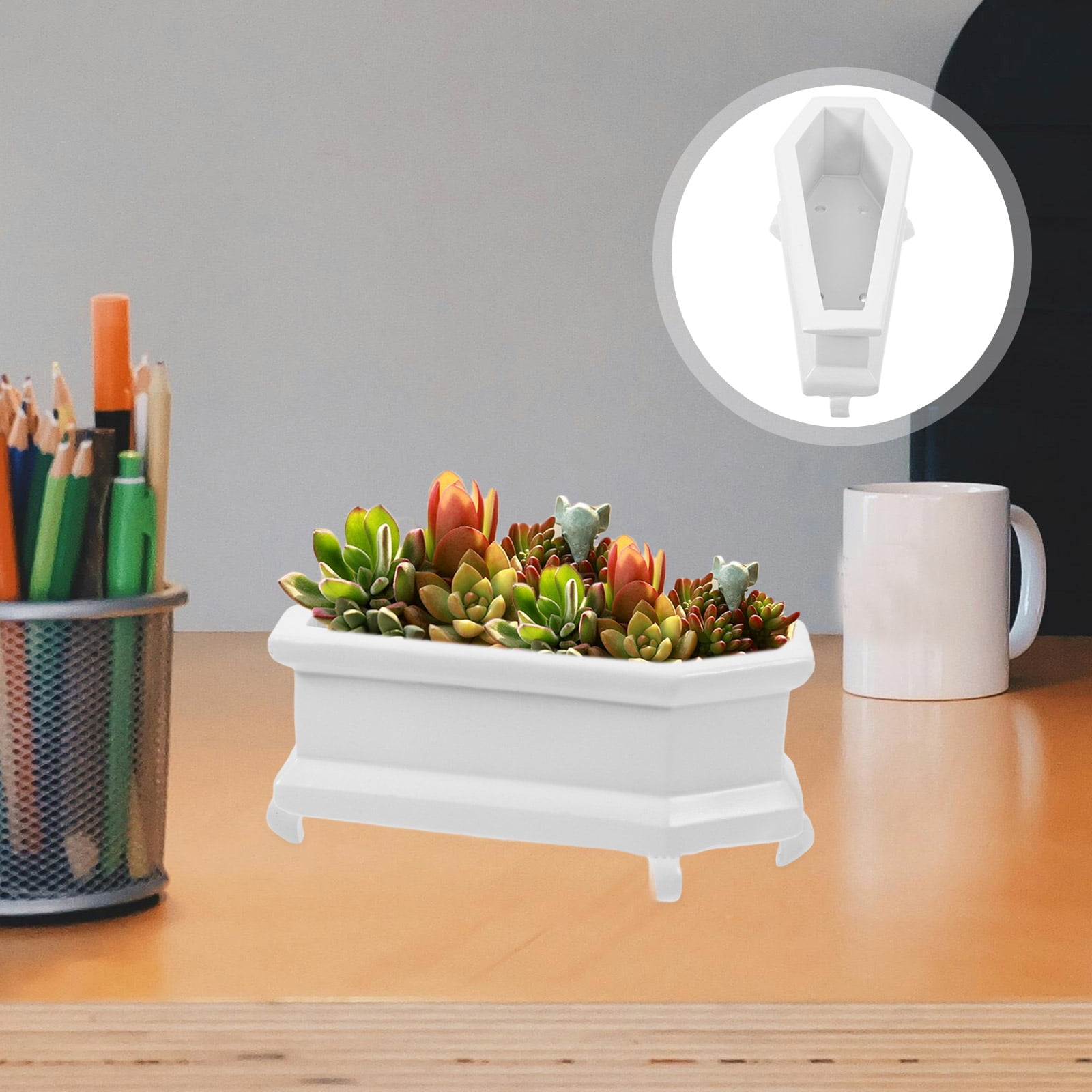 HEMOTON White Resin Coffin Shaped Planter for Cactus and Bonsai Adds ...