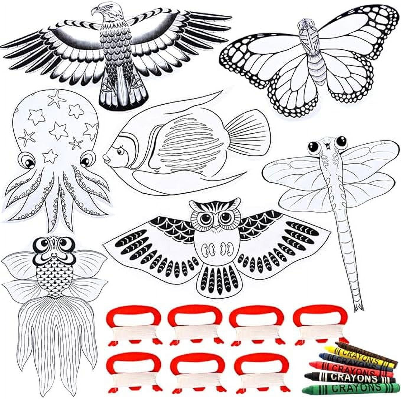 HENGDA KITE DIY Blank Painting Kite for Kids & Adults, Kite Making Kit ...