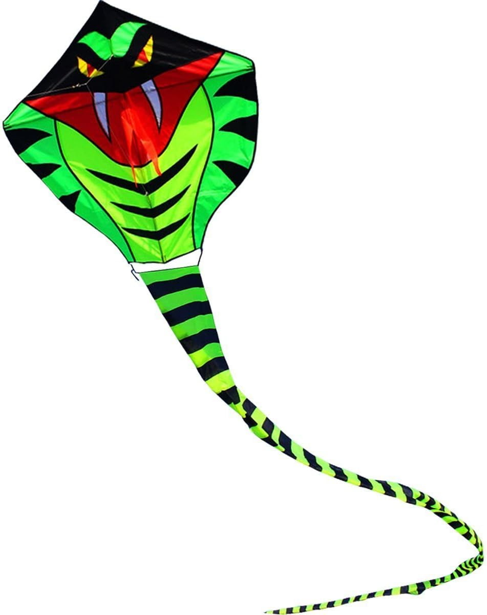 HENGDA KITE Large Power Snake Kites with Flying Line Outdoor Fun Sports ...