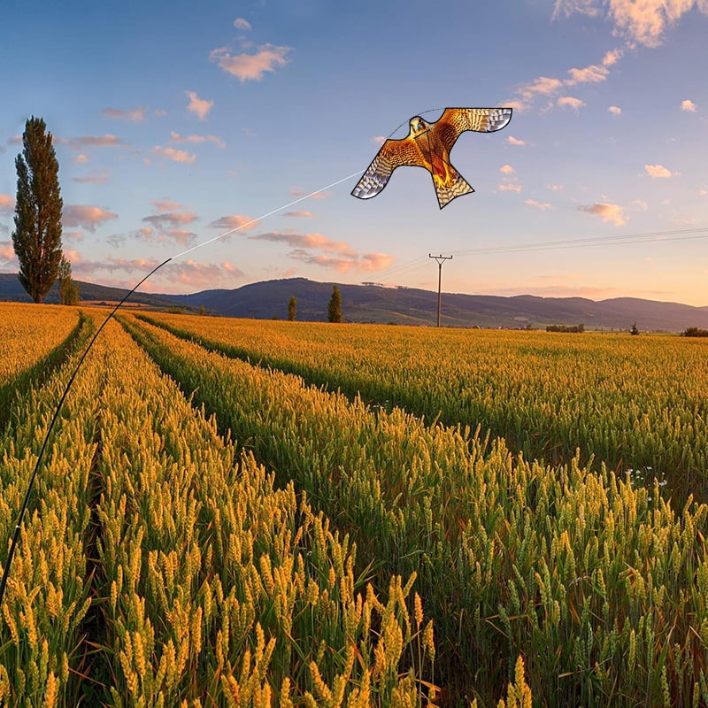 HENGDA KITE Scare Kite Bird Repelling Kite Eagles Kite Guardian Farm ...