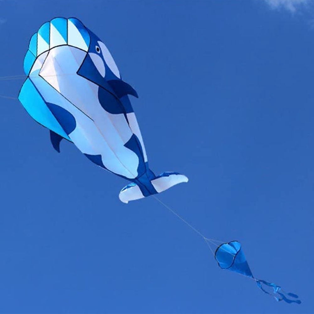 HENGDA KITE Soft Whale Dolphin Kite for Beach Fun, Suitable for Kids ...