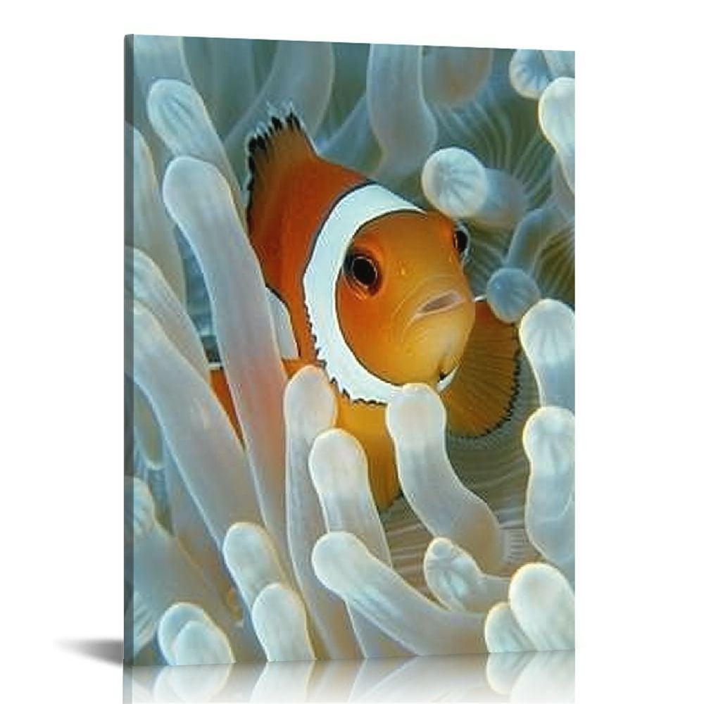 HENGT - 3 Piece Canvas Wall Art - Clown Anemonefish and White Sea ...