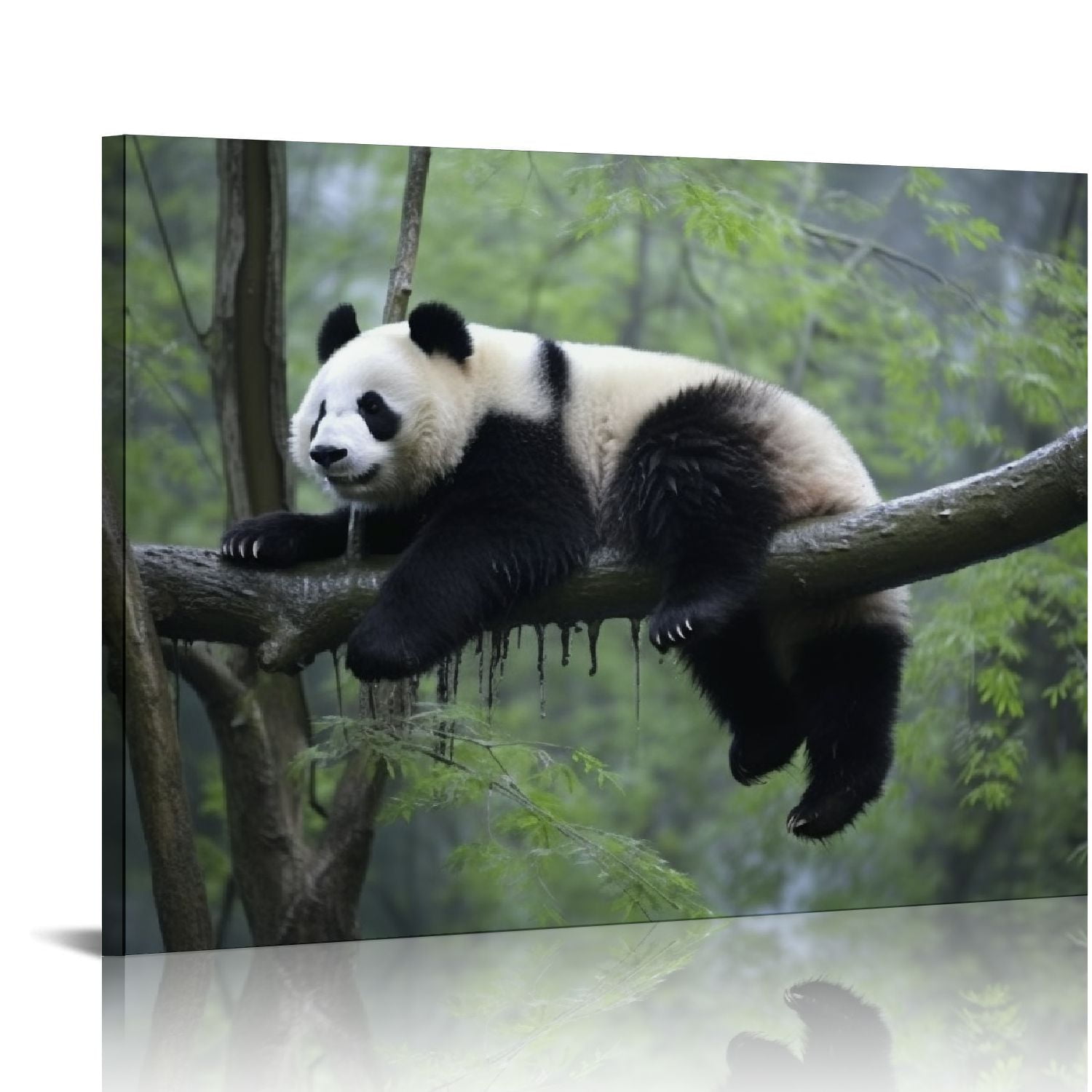 HENGT Cute Panda Canvas Wall art Wall Decor Animals Themed for Bedroom ...