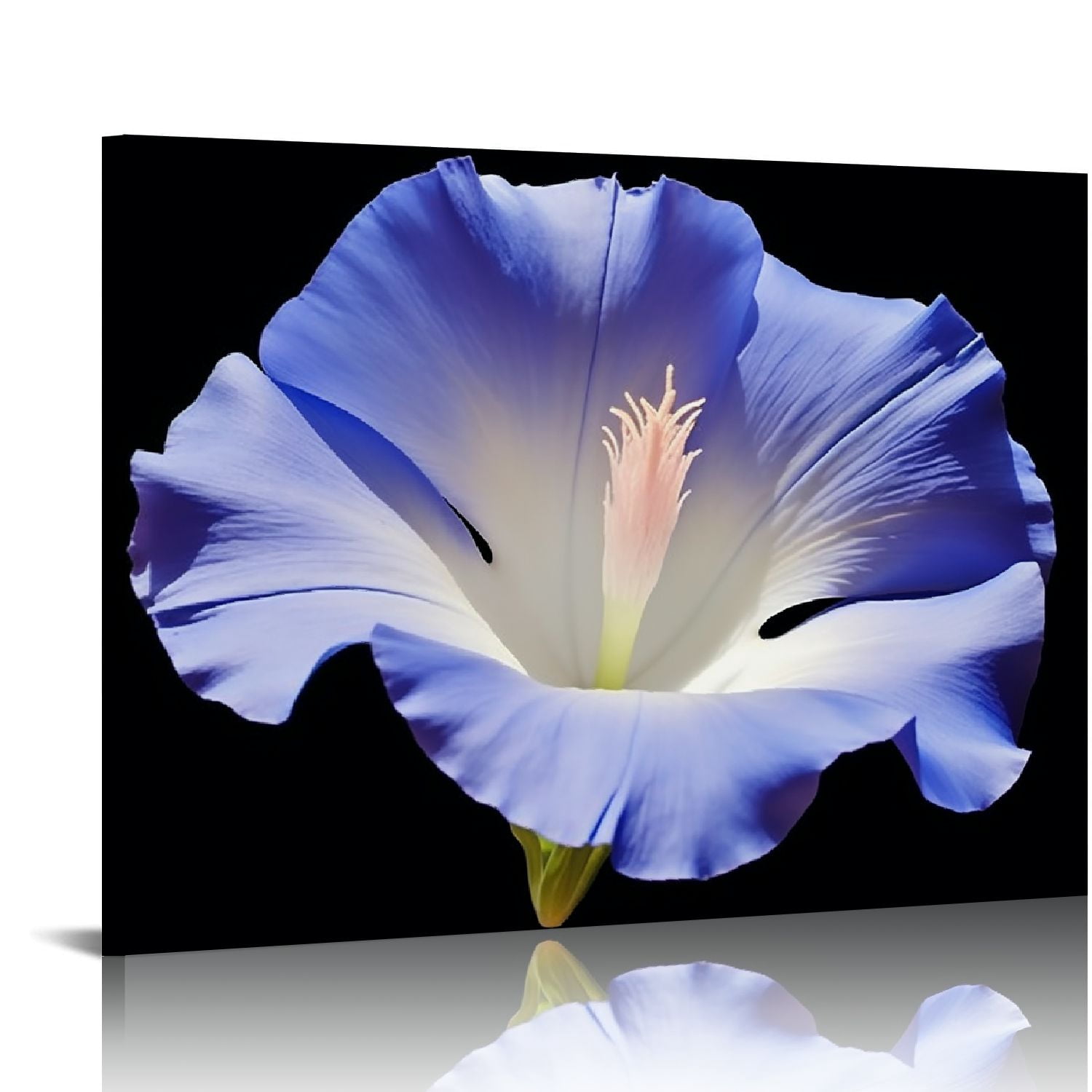 Jiayy Morning Glory Canvas Wall Art - Walmart.com