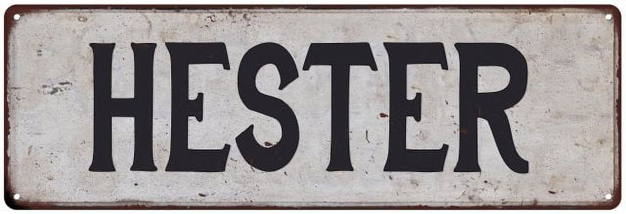 HESTER Vintage Look Rustic Chic Metal Sign 8x24 108240036591 - Walmart.com