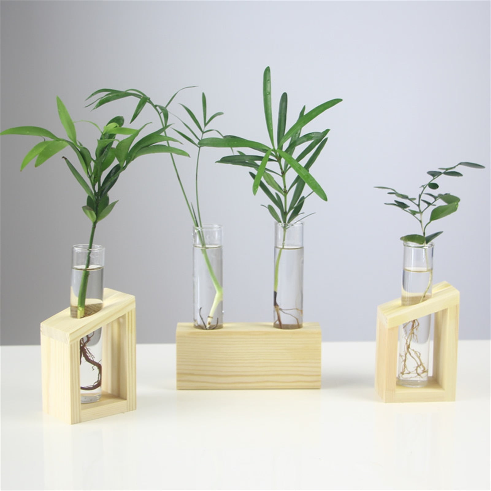 HEVIRGO Decorative Hydroponic Tube Vase Transparent Glass Universal ...