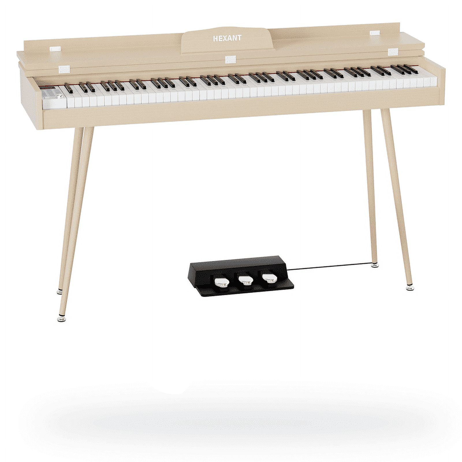 HEXANT 88- Key Hammer Weighted Digital Piano Keyboard, Full-Size Electric Piano keyboard, with 3 ...