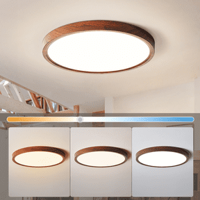 Flat Ceiling Lights