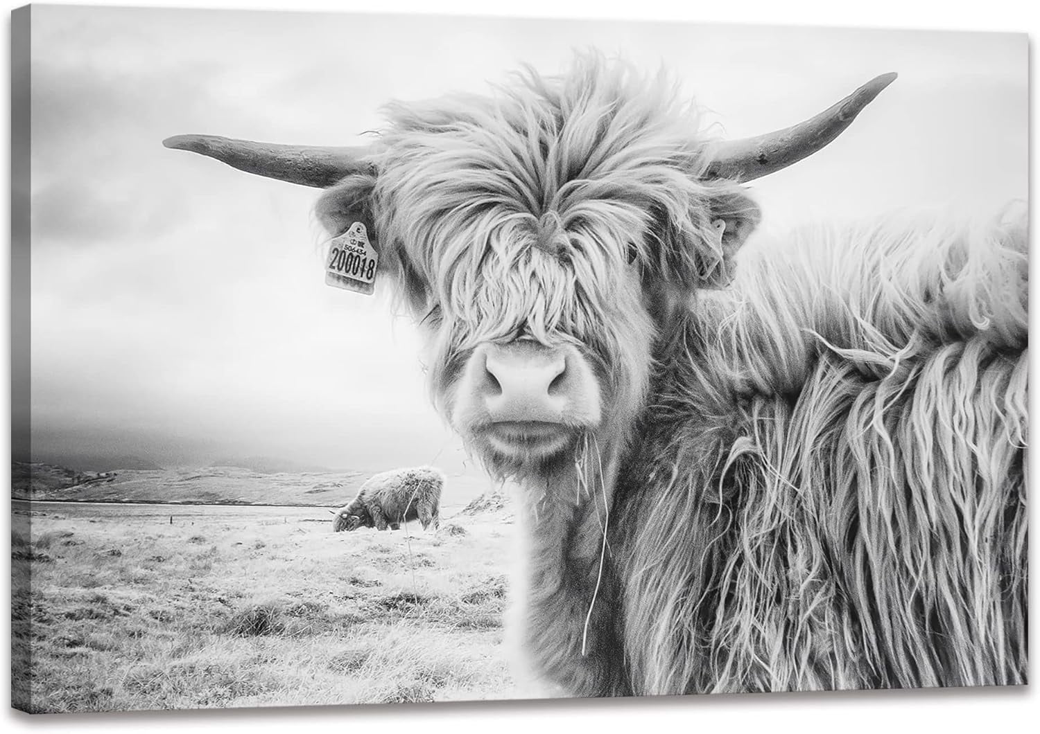 HFDF Black and White Cow Bull Yak Canvas Picture Wall Decor Farmhouse ...