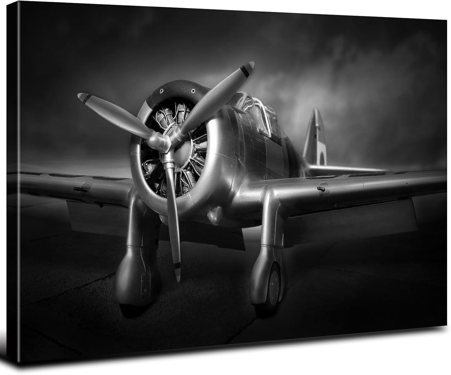 HFDF Black and White Wall Art Vintage Airplane Pictures Wall Propeller ...