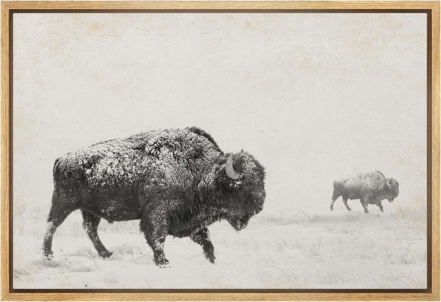 HFDF Canvas Prt Wall Art Black & White Bison Buffalo Landscape Animals ...
