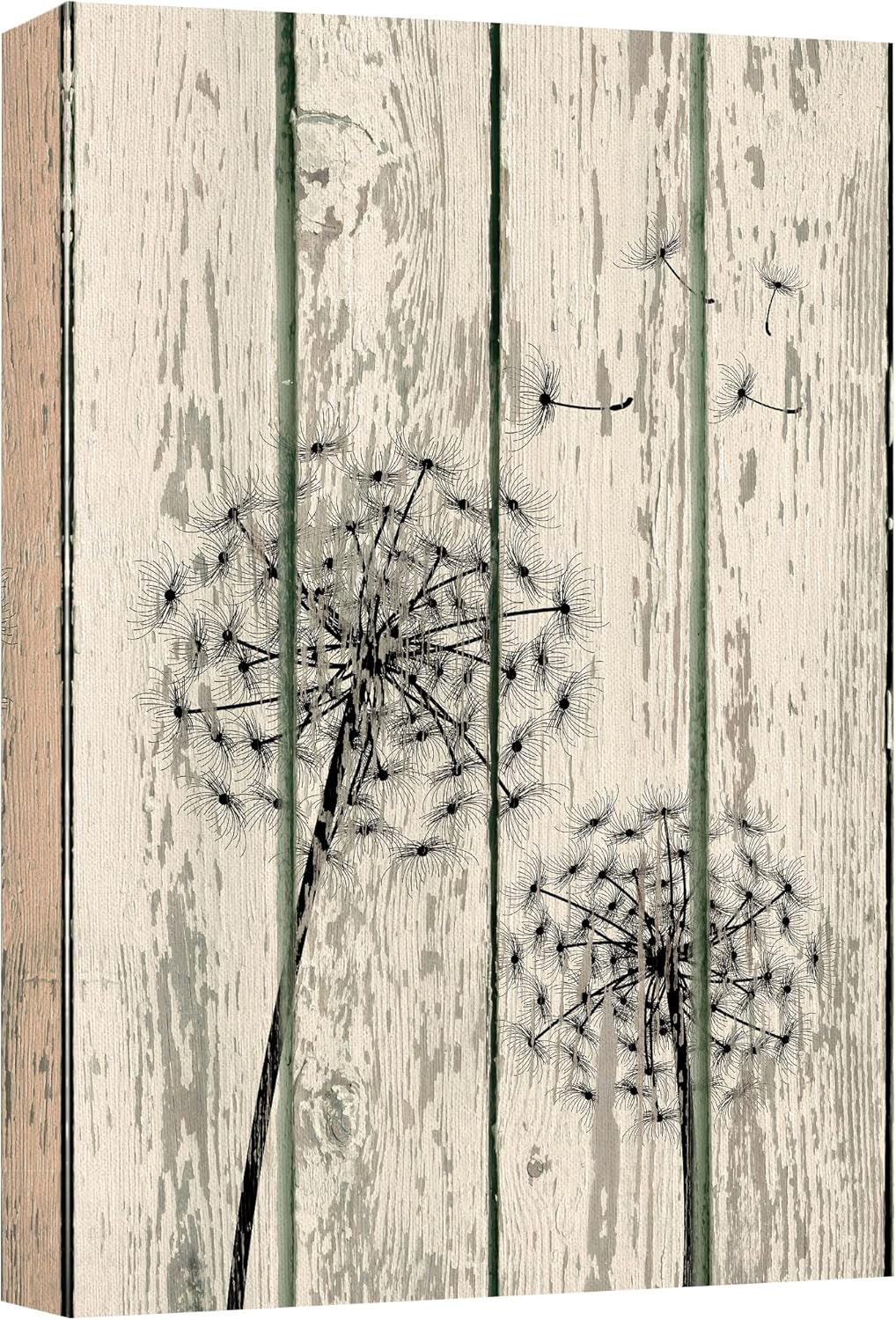HFDF Canvas Prt Wall Art Dark Dandelion Duo on Wood Panels Floral ...