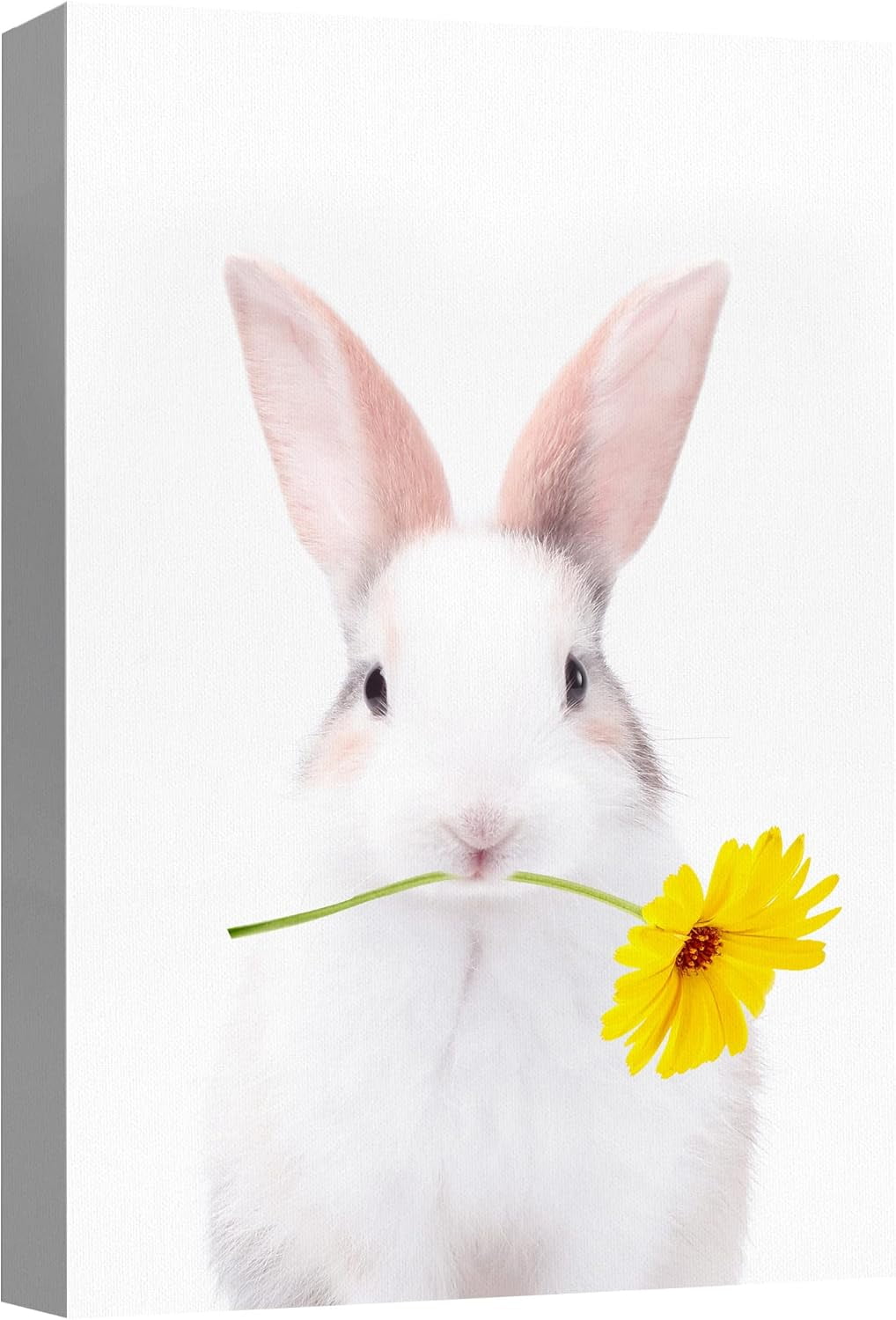 HFDF Canvas Prt Wall Art Kids Child Bunny Rabbit Daisy Flower Animals ...