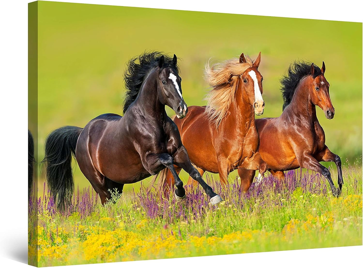 HFDF Canvas Wall Art Decor Horse Runng on the Field Stretched Prt, Modern for Bedroom or Livg ...