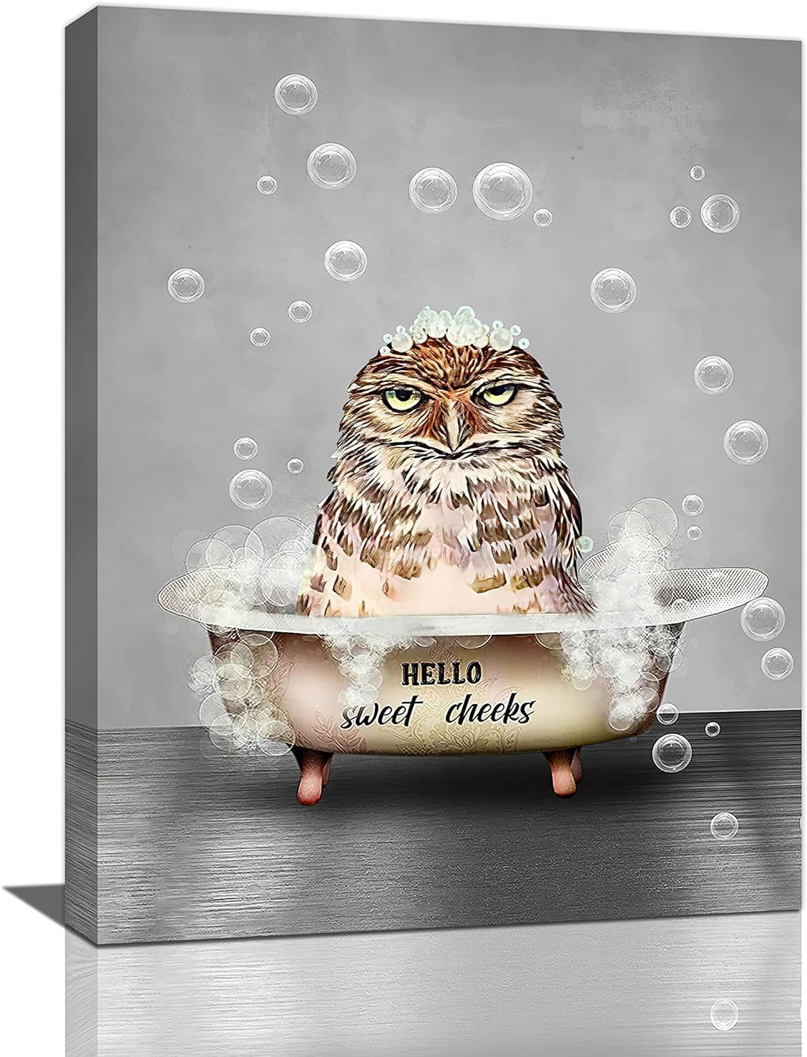 HFDF Funny Owl Bathroom Wall Art Farmhouse Animal Owl Bathtub Pictures ...