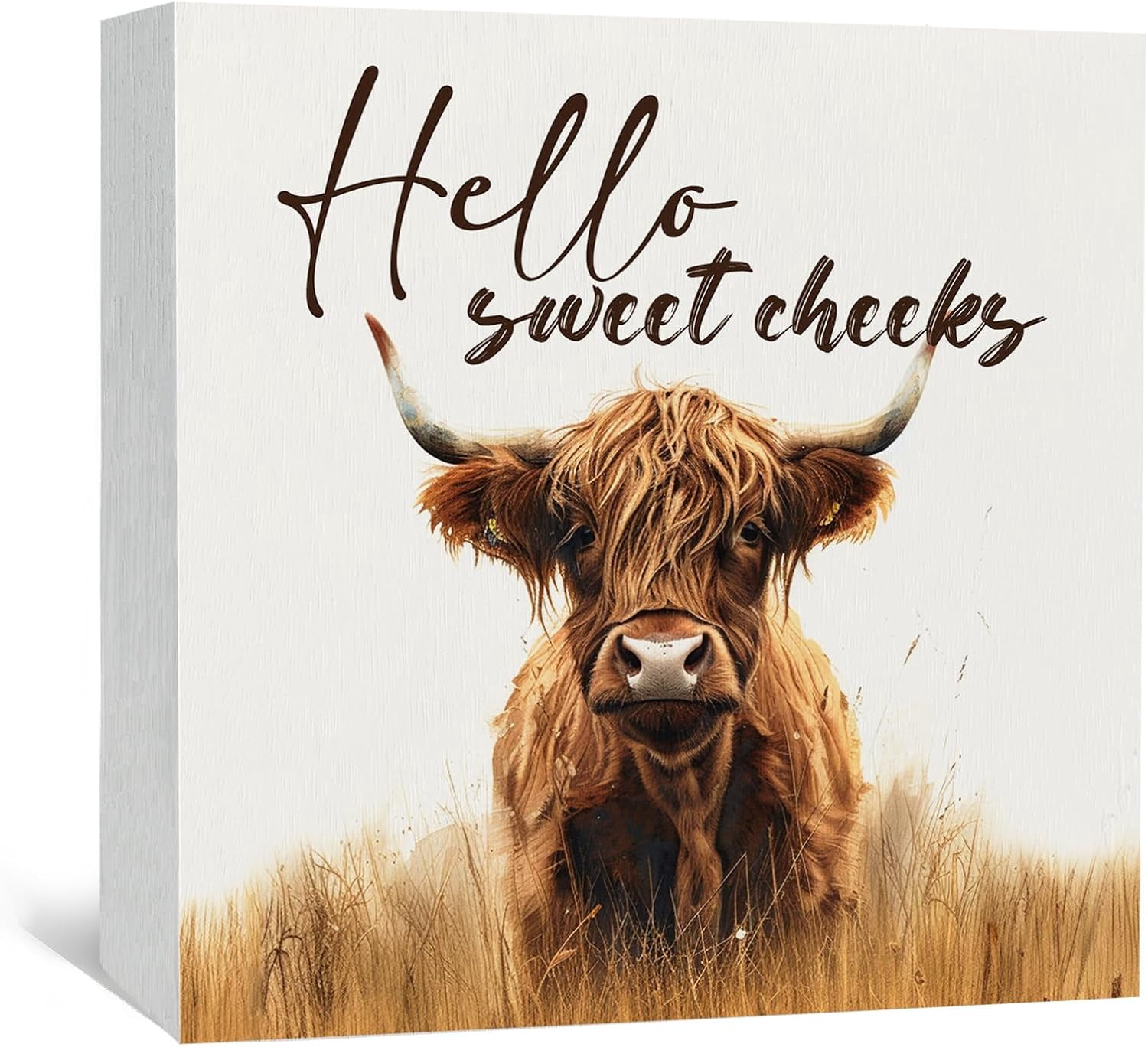HFDF Hello Sweet Cheeks Wooden Signs, Western Highland Cow Home Decor ...