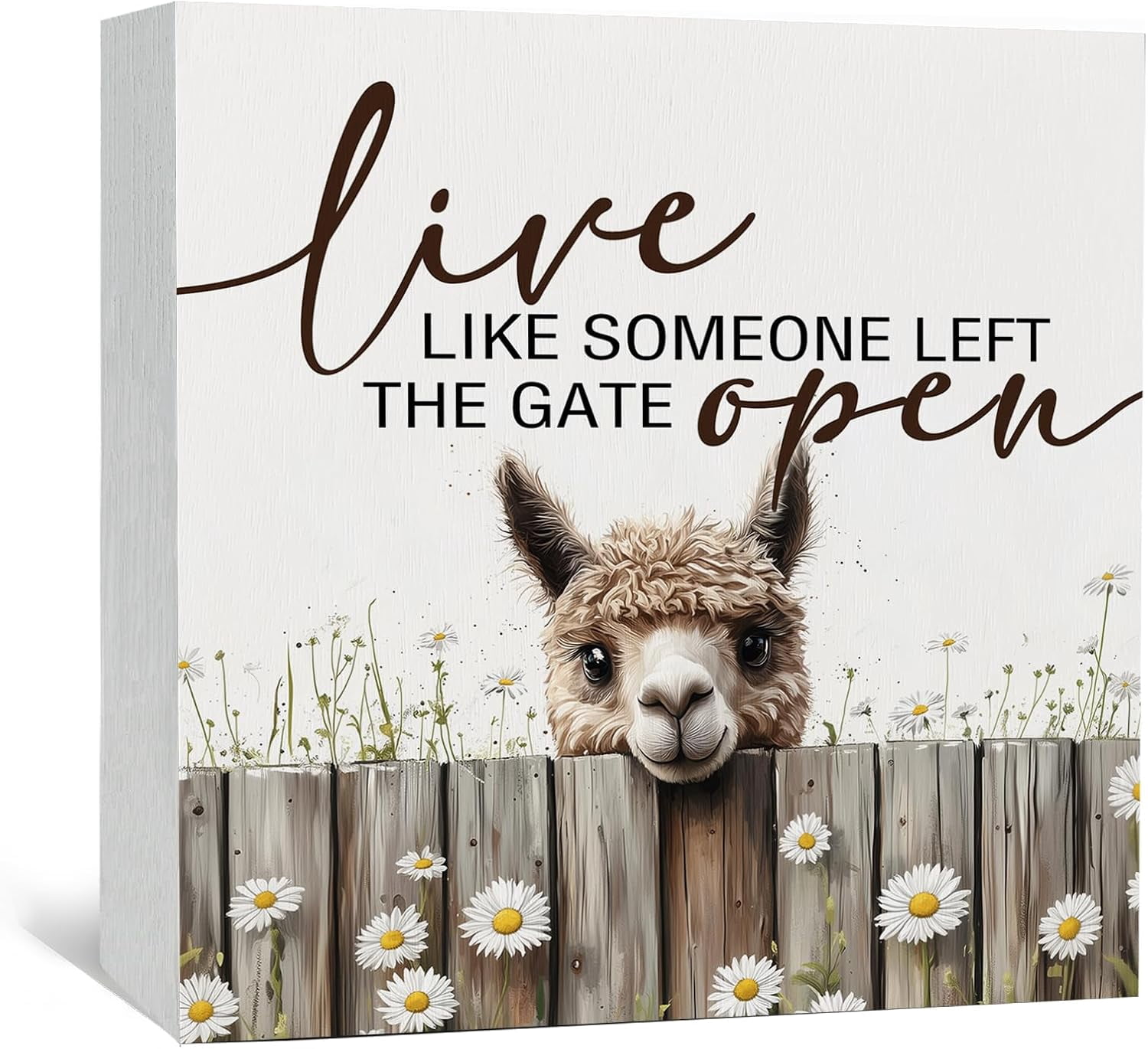 HFDF Live like Someone Left the Gate Open Alpaca Wooden Signs,Farm ...