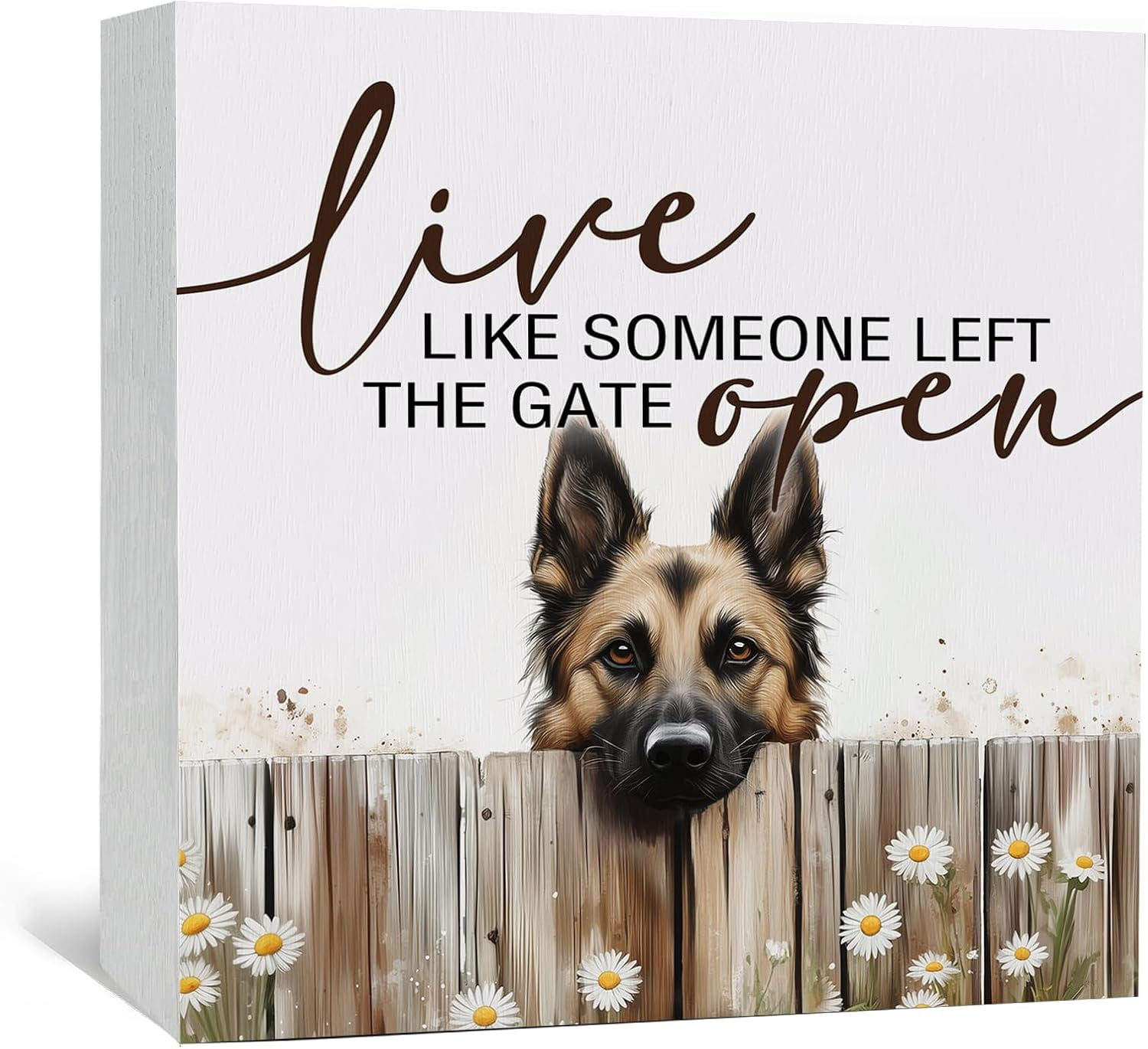 HFDF Live like Someone Left the Gate Open Belgian Malinois Wooden Signs ...