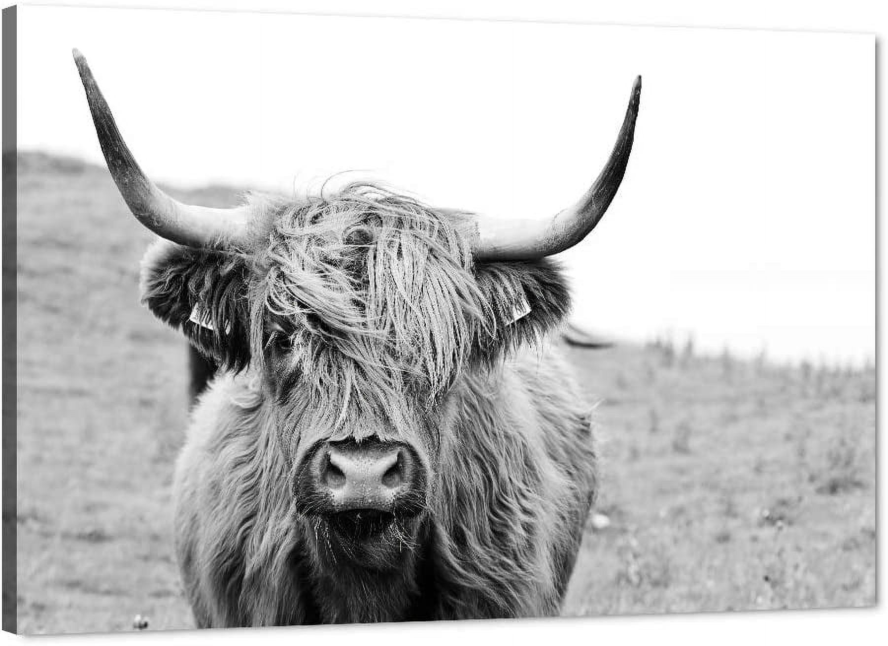 HFDF Vintage Poster Modern Canvas Wall Art HD Highland Cow Pattern ...