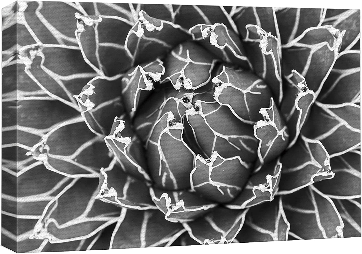 HFDF Wexford Home Flower Power Art Print, 14x11inch Framed - Walmart.com