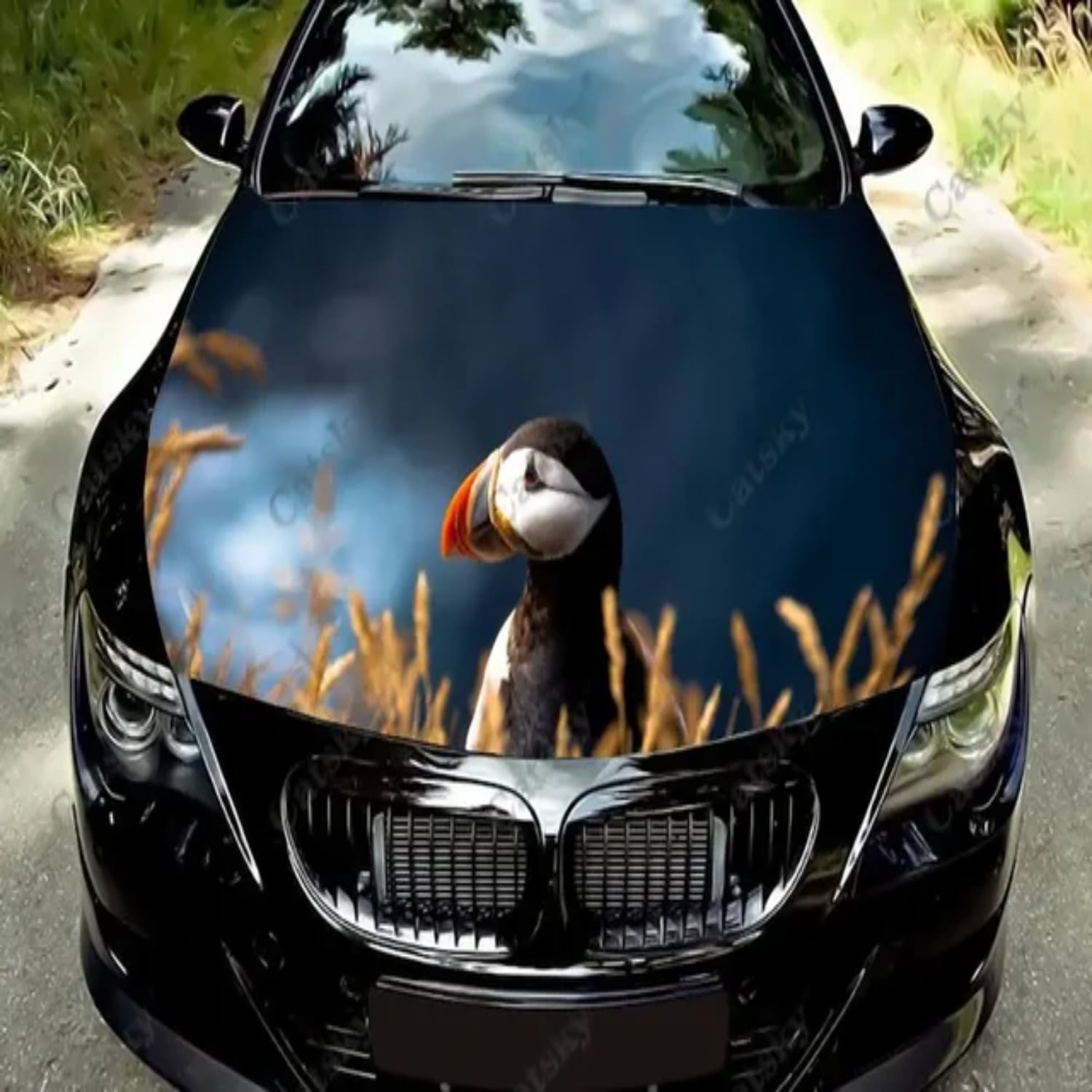 HFHMWL Gorgeous Animal - Puffin Car Hood Vinyl Wrap Stickers with ...