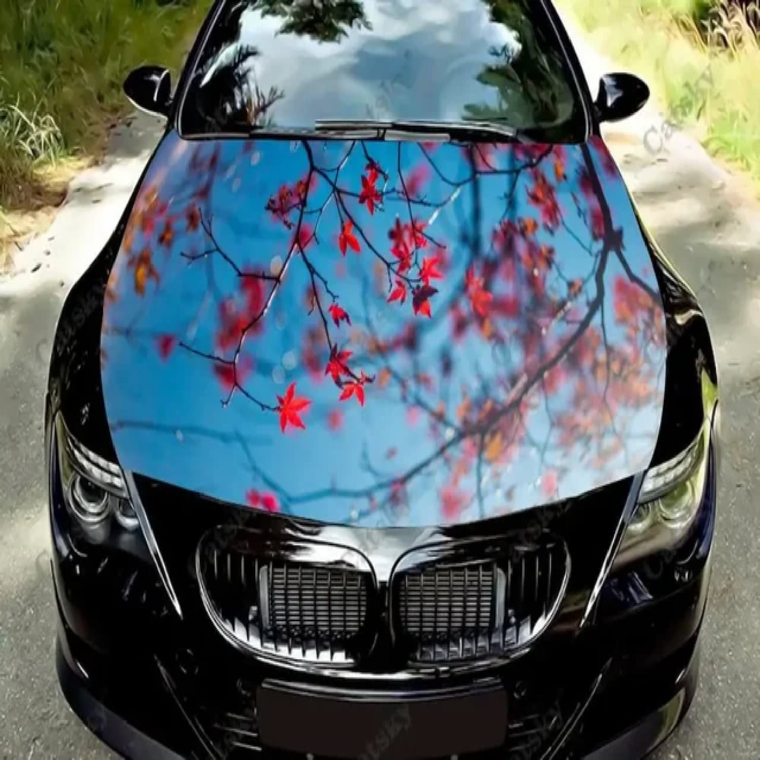 HFHMWL Protective Nature Branch Car Hood Vinyl Stickers - Engine Cover ...