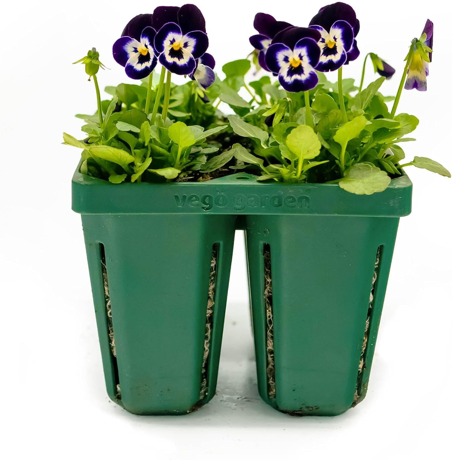 HFJMHG 4-Cell Seedling Trays - Extra Deep Reusable Plastic Plant ...