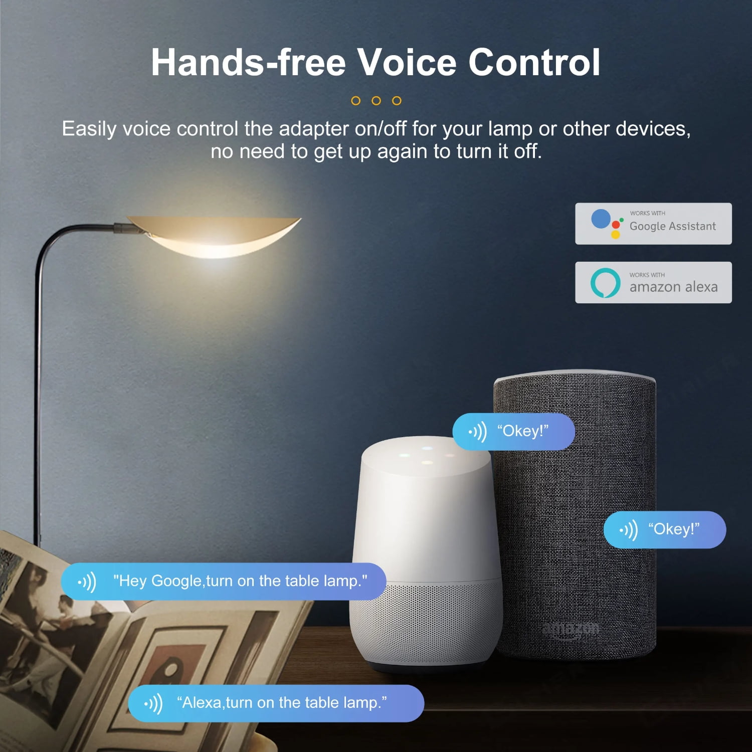 HFMENIW Efficient Smart Mini USB Power Adaptor for Alexa and Alice Hey ...