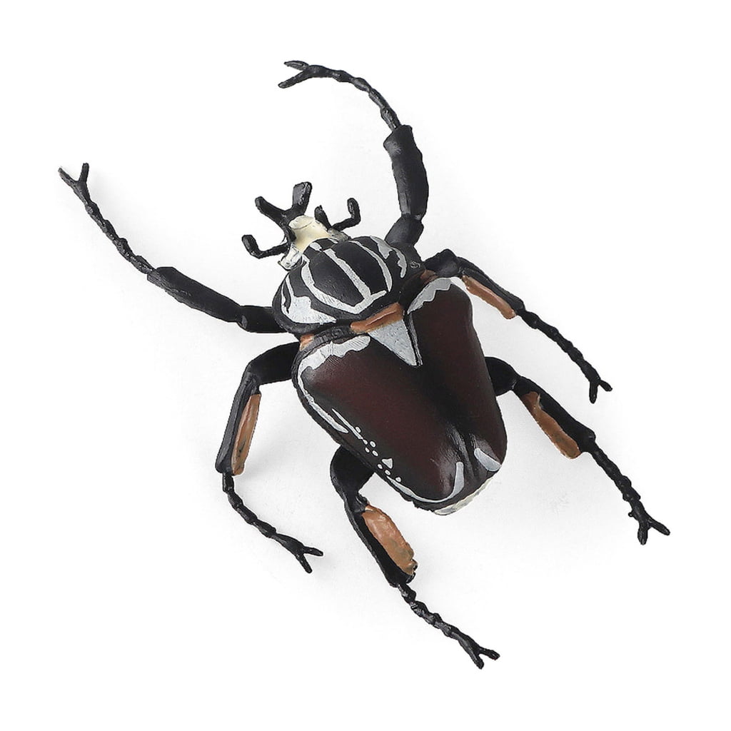 HGYCPP Spiders Insects Model Realistic Gogga Figure for Collection ...