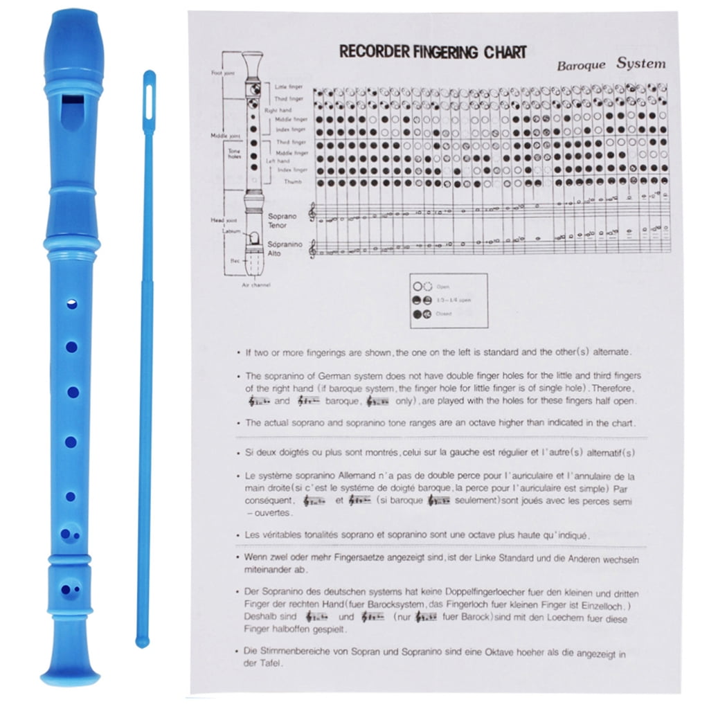HGYCPP Treble Flute 8-Hole Soprano Recorder with Cleaning Rod Woodwind ...