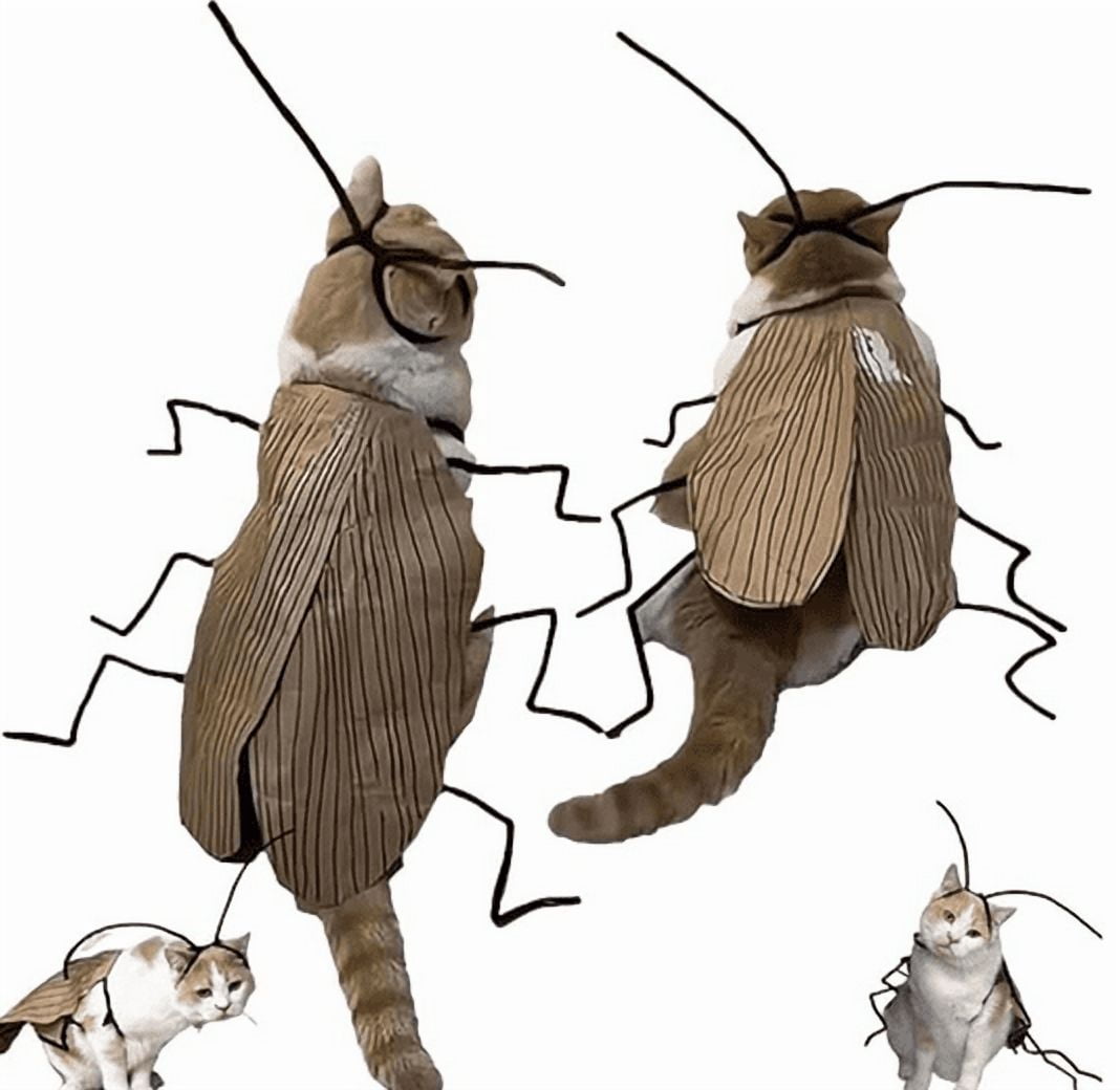 HHBEAUTY Cat Cockroach Clothing DIY Kit, Funny Cat Costume Accessories ...