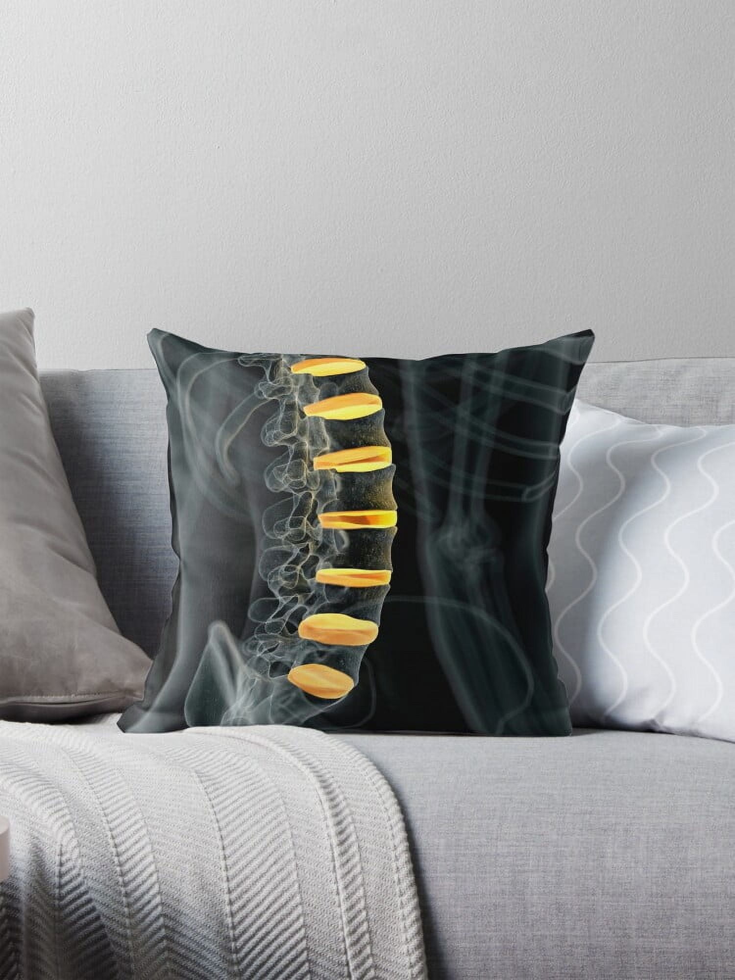 HHH-Human-spinal-intervertebral-discs-(F011/7098)-Throw Pillow Covers ...