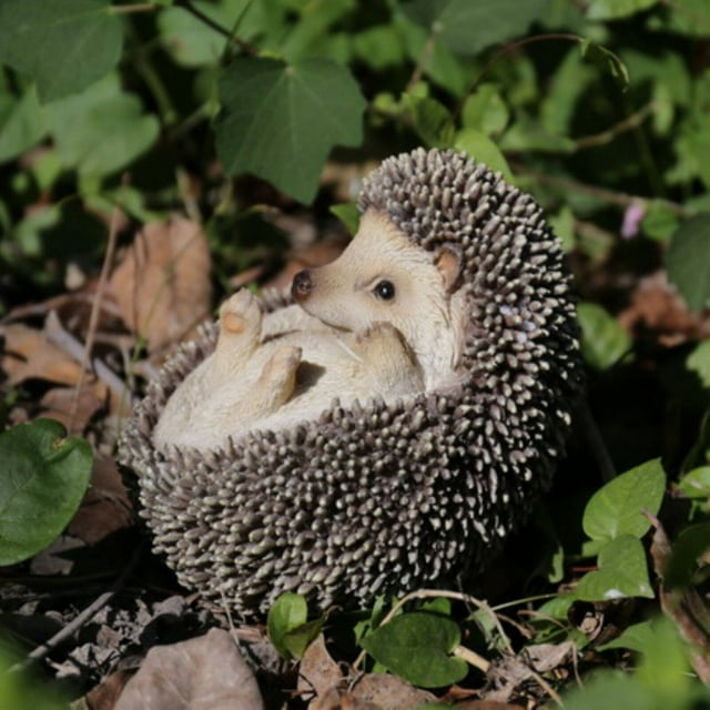 HI-LINE GIFT LTD. HEDGEHOG ON ITS BACK - Walmart.com