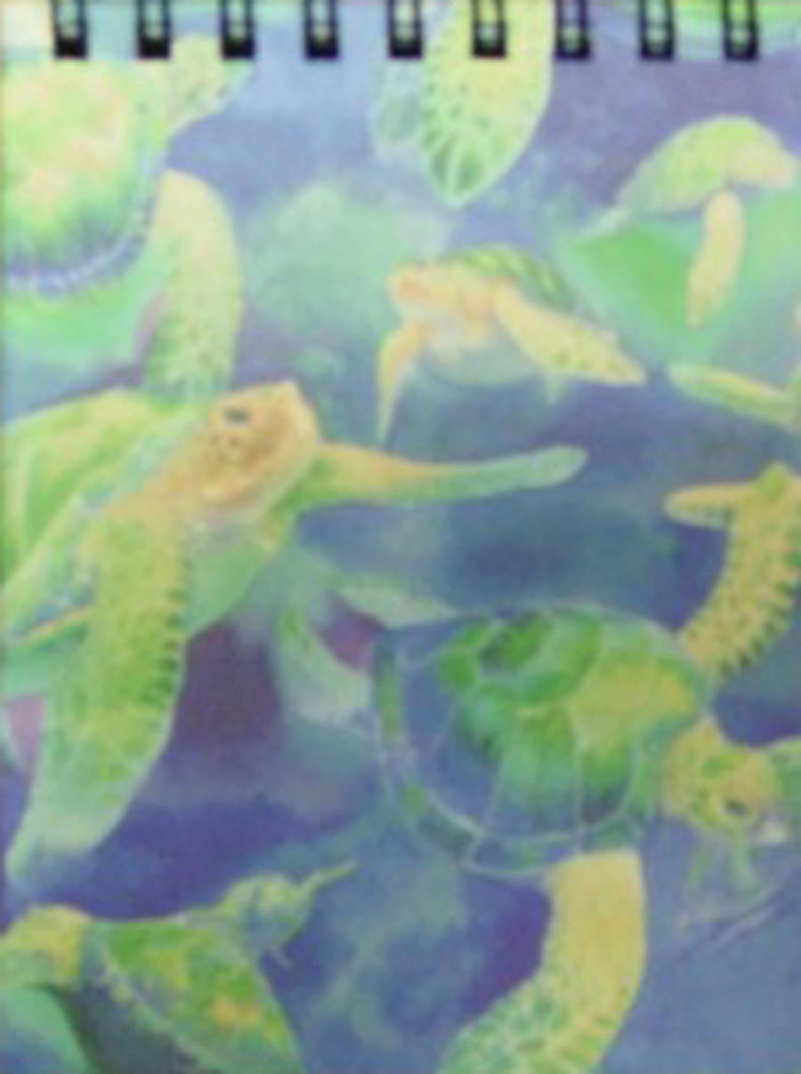 HI SM NB SWM HONU - Walmart Business Supplies