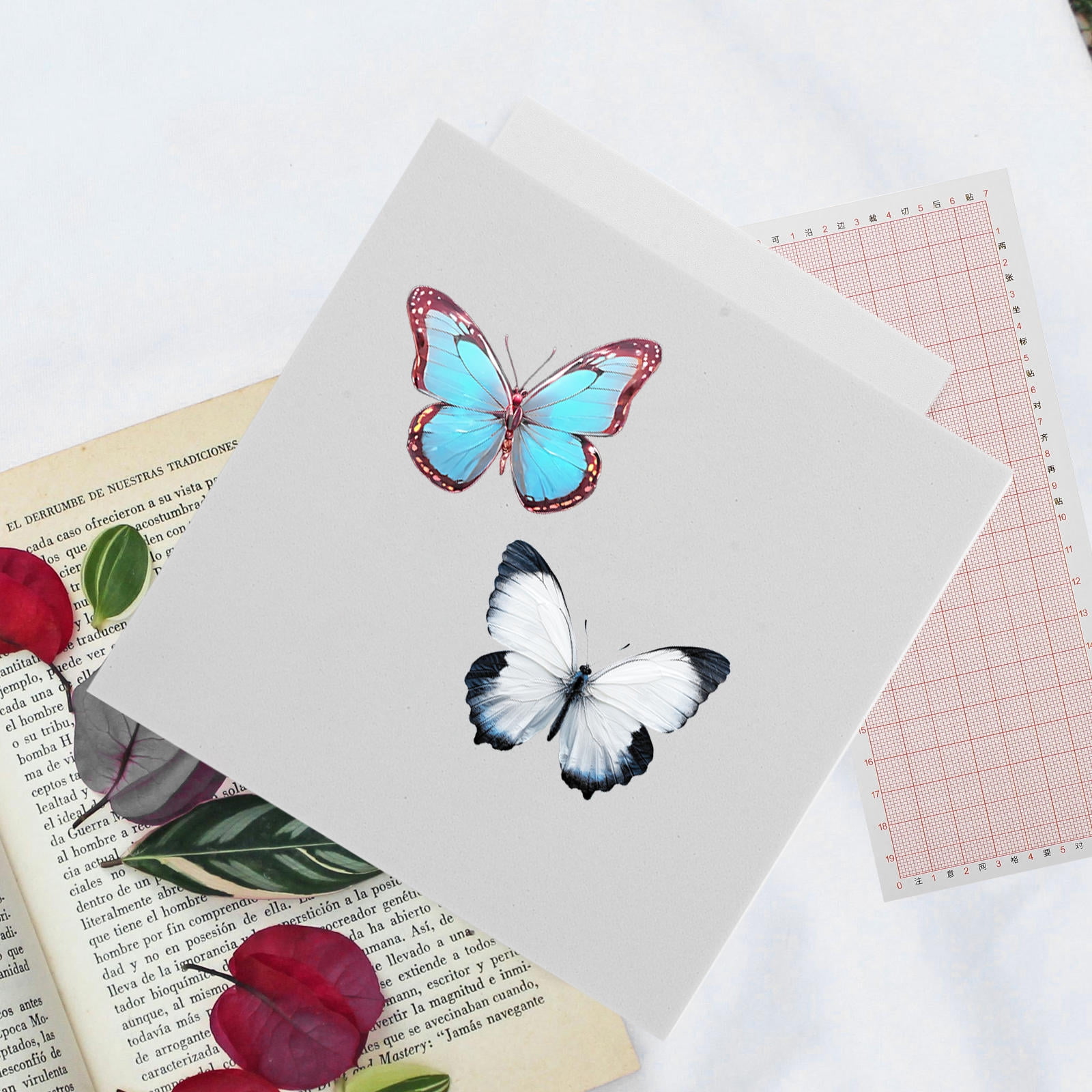HIAKDOFT Butterfly Pinning Kit 1Pack 14x14x3cm EVA Foam White For ...