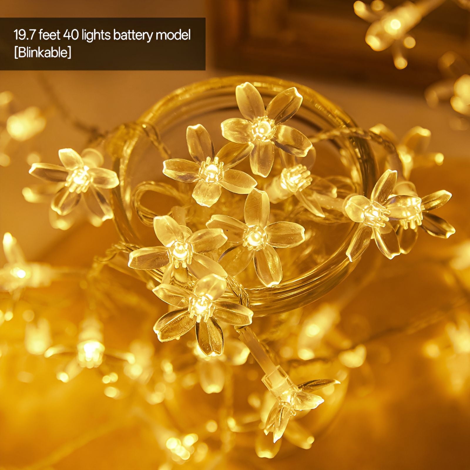 HIBIBUD 1Pcs Fairy Lights Battery Operated,Versatile Lighting Modes ...