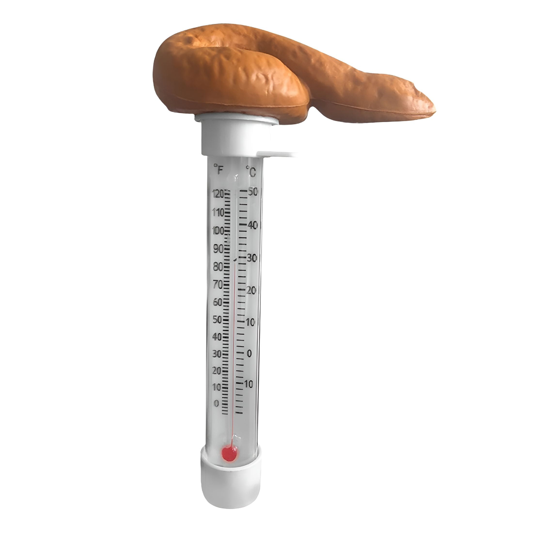 HIBIBUD Floating Poop Shape Swimming Pool Thermometer,Measures up to ...