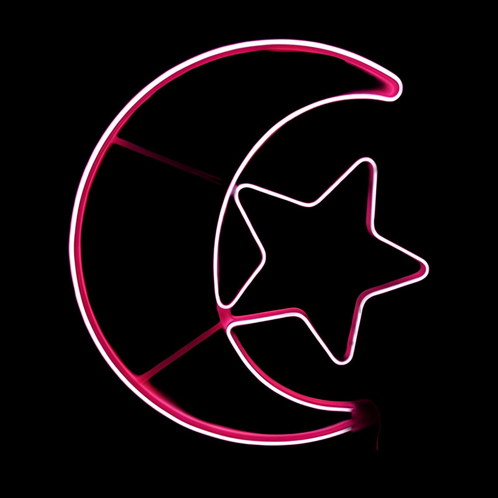 HIBIBUD Neon Light Changeable Hue Neon Sign Suits Any Room Led Signs ...