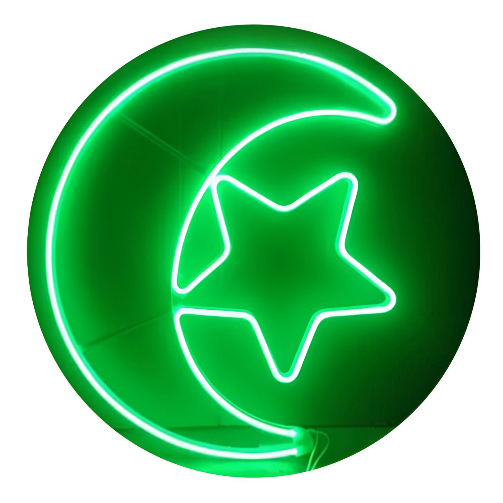 HIBIBUD Neon Light Holiday Vibes Led Signs Easy Match Neon Signs for ...