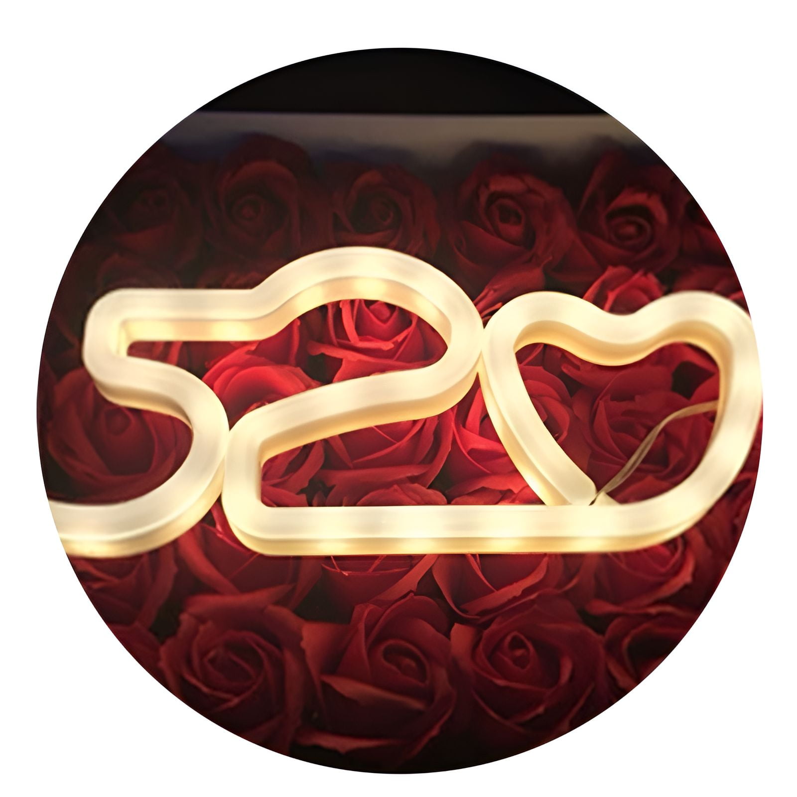 HIBIBUD Neon Light Lightweight and Handy Led Signs Versatile for Any ...