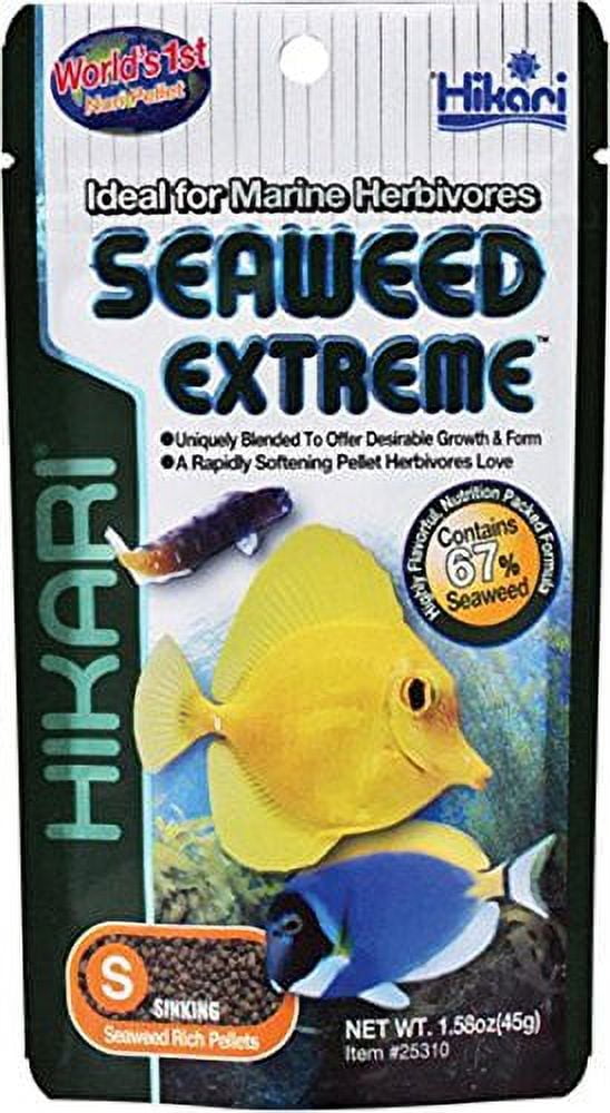 HIKARI Seaweed Extreme Floating Seaweed Rich Pellets for Smaller Marine ...