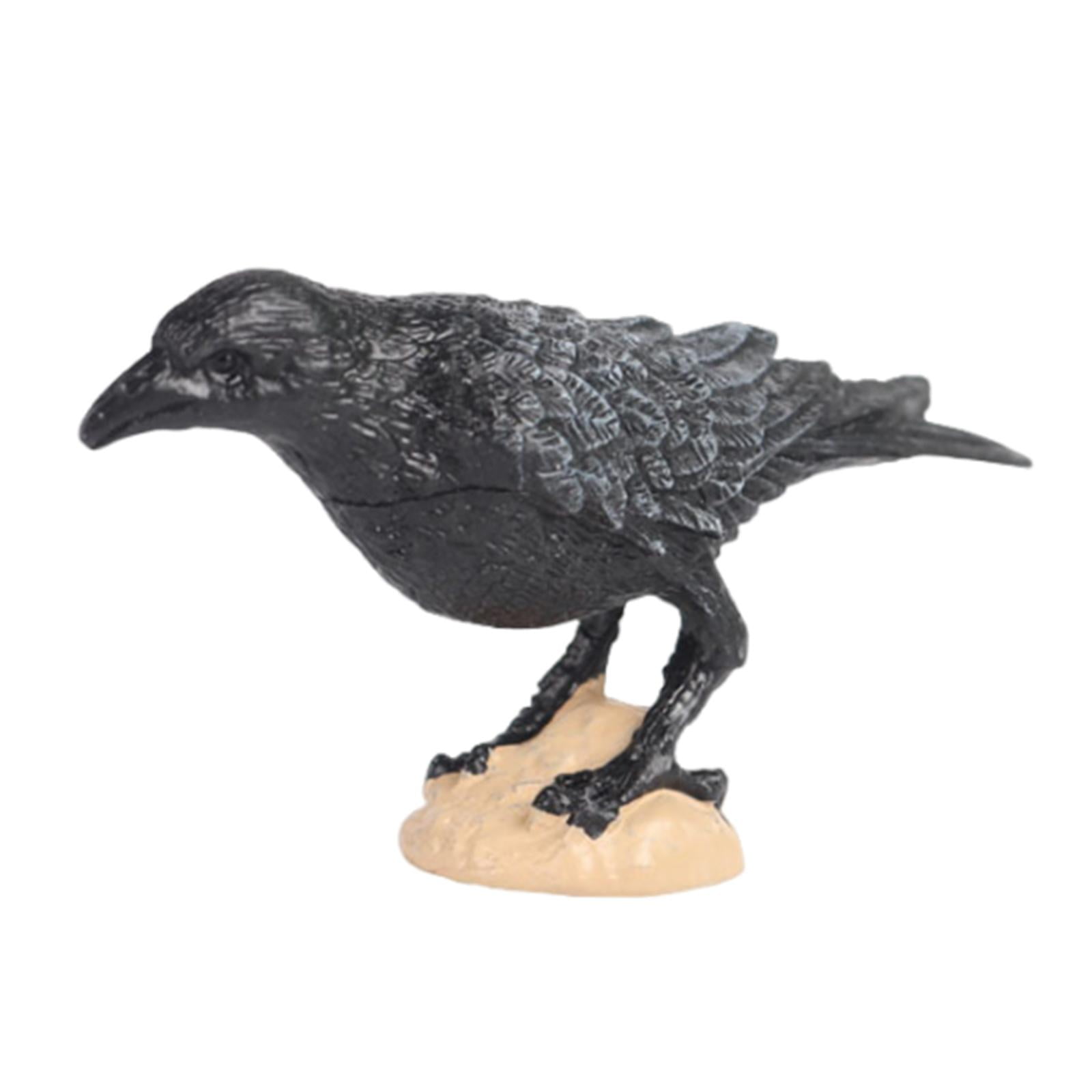 HILABEE 4xParrot Figurines Toy Educational Realistic Raven Bird ...