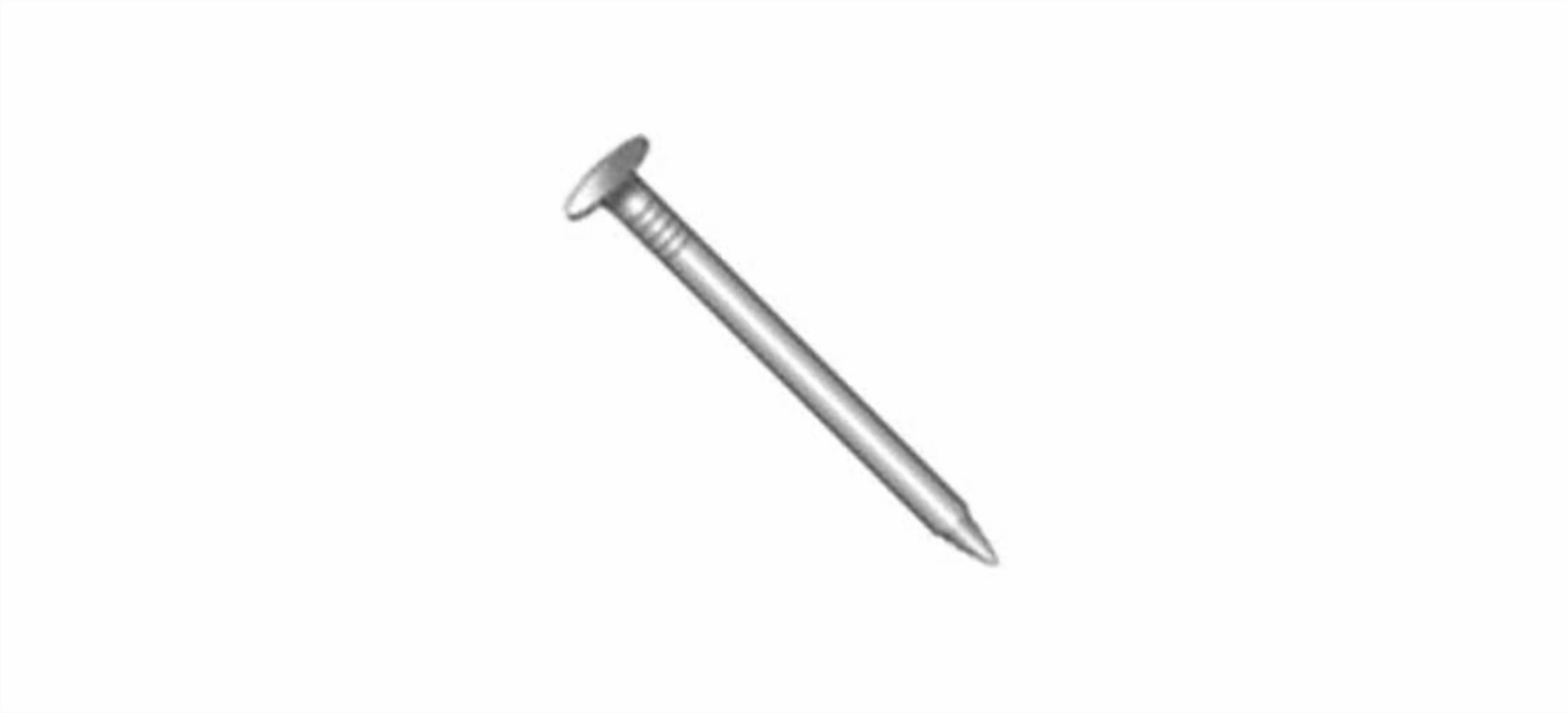 HILLMAN 122553 Wire Nail, 1 in L, 17 Gauge, Stainless Steel, Bright ...