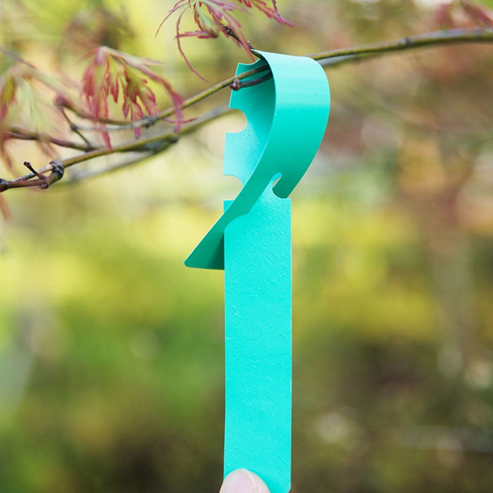 HINTRMENT 300Pcs Gardening Label Plates Assorted Color For Farm Garden ...