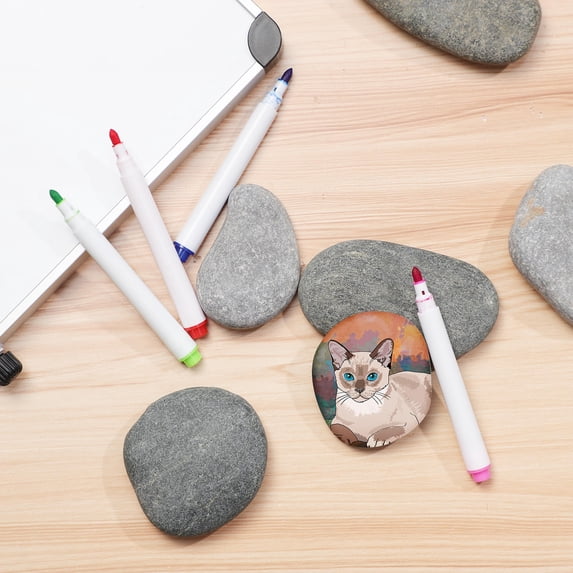 HINTRMENT 6Set Painting Stones Smooth Pebbles for Adults and Kids DIY ...