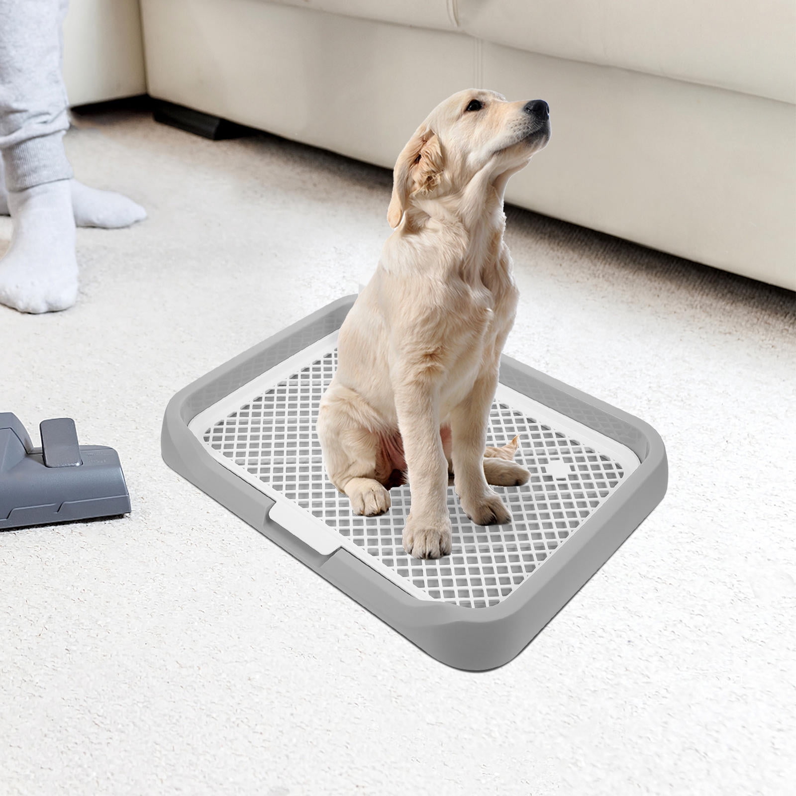 HINTRMENT Pet Toilet for Dogs 1Pack Abs Rectangular Indoor Potty ...